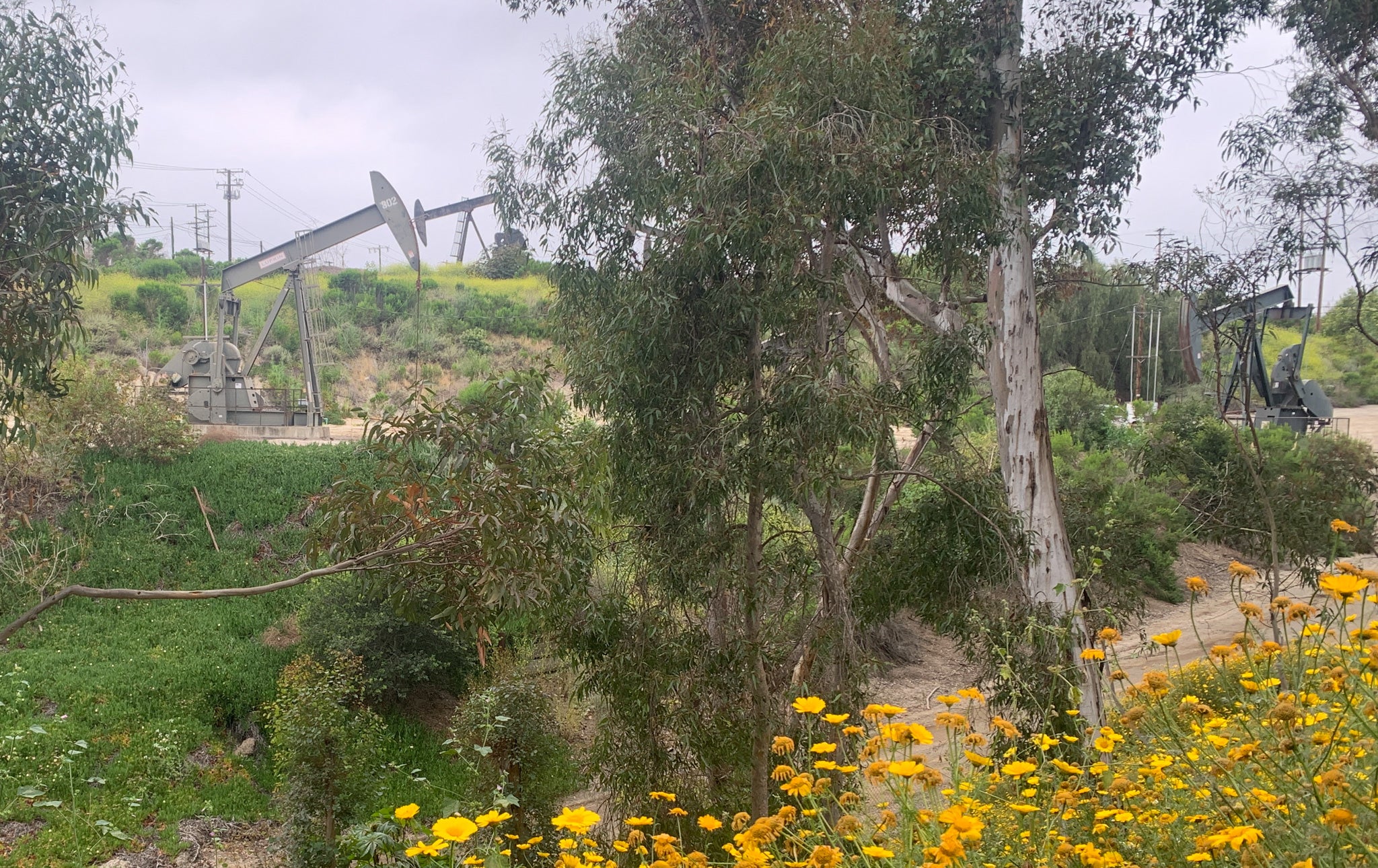 The Frank G. Wells Environmental Law Clinic at UCLA Law | UCLA Law