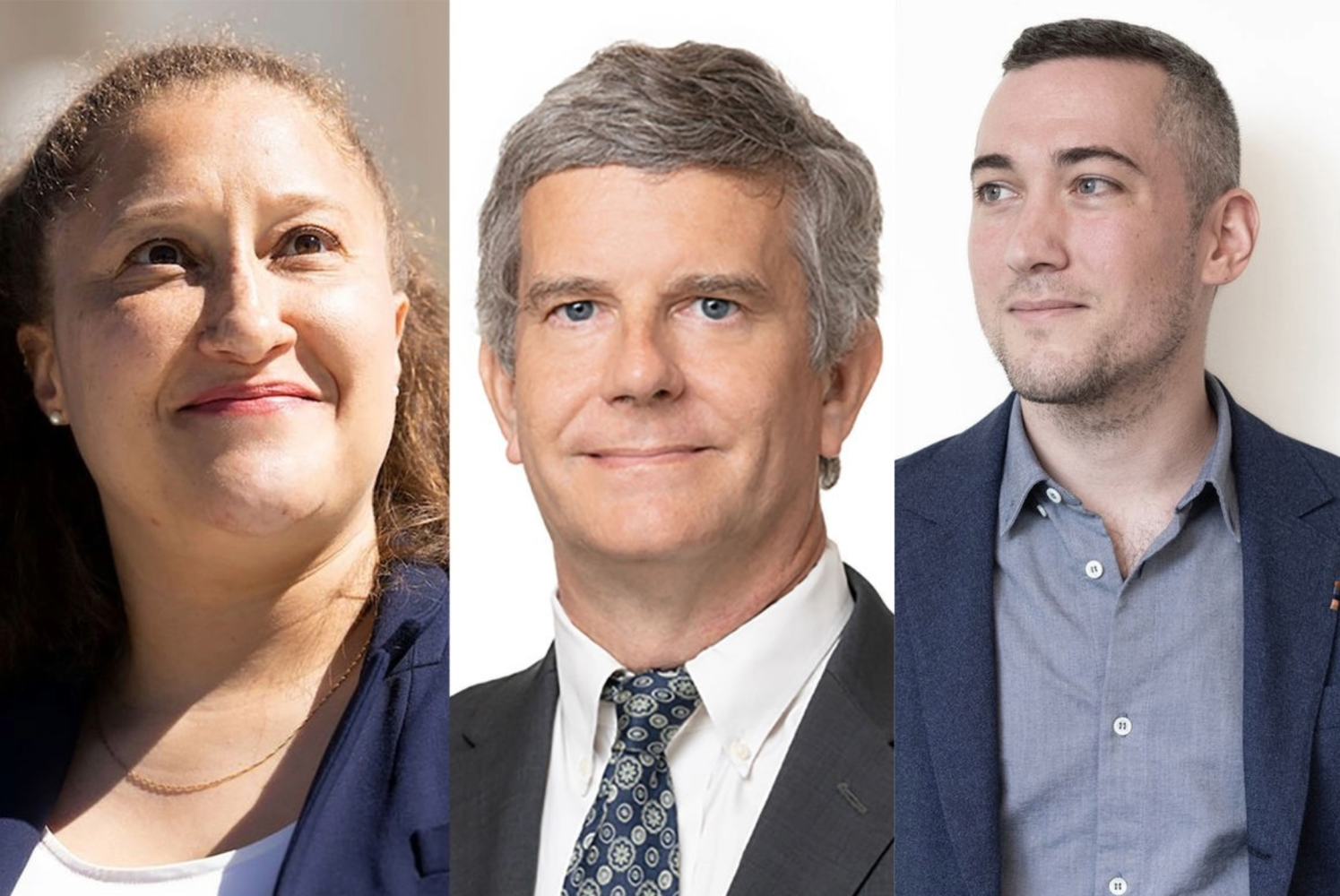 Safeguarding Democracy Project | UCLA Law