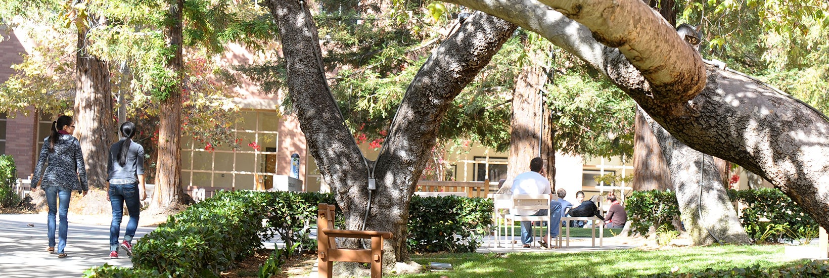 Office of Communications | UCLA Law