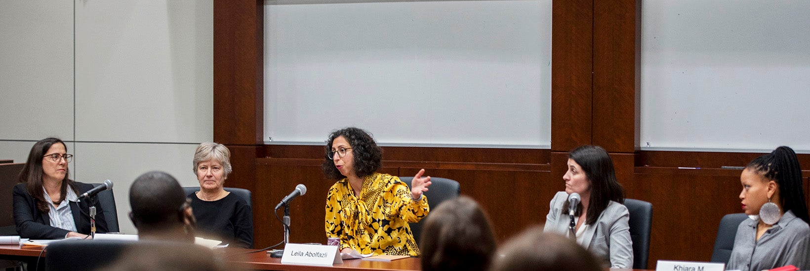 Legal Pathways Beyond Dobbs | UCLA Law