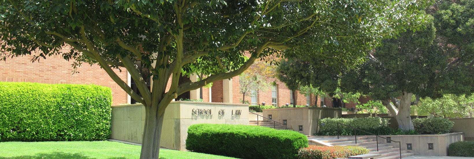 School Directory | UCLA Law