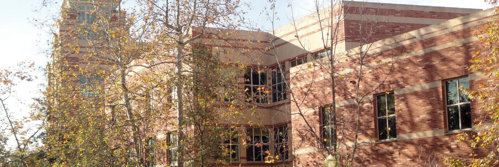 Thomas ’20 Wins Hochman Award in Tax Law | UCLA Law