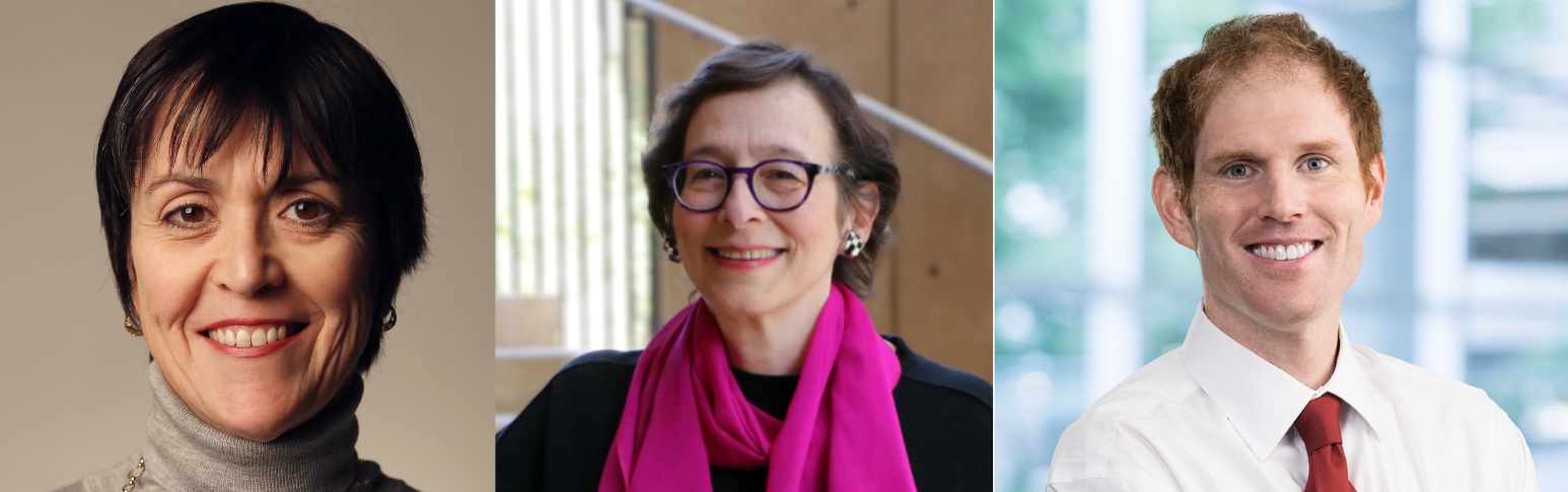 Safeguarding Democracy Project | UCLA Law